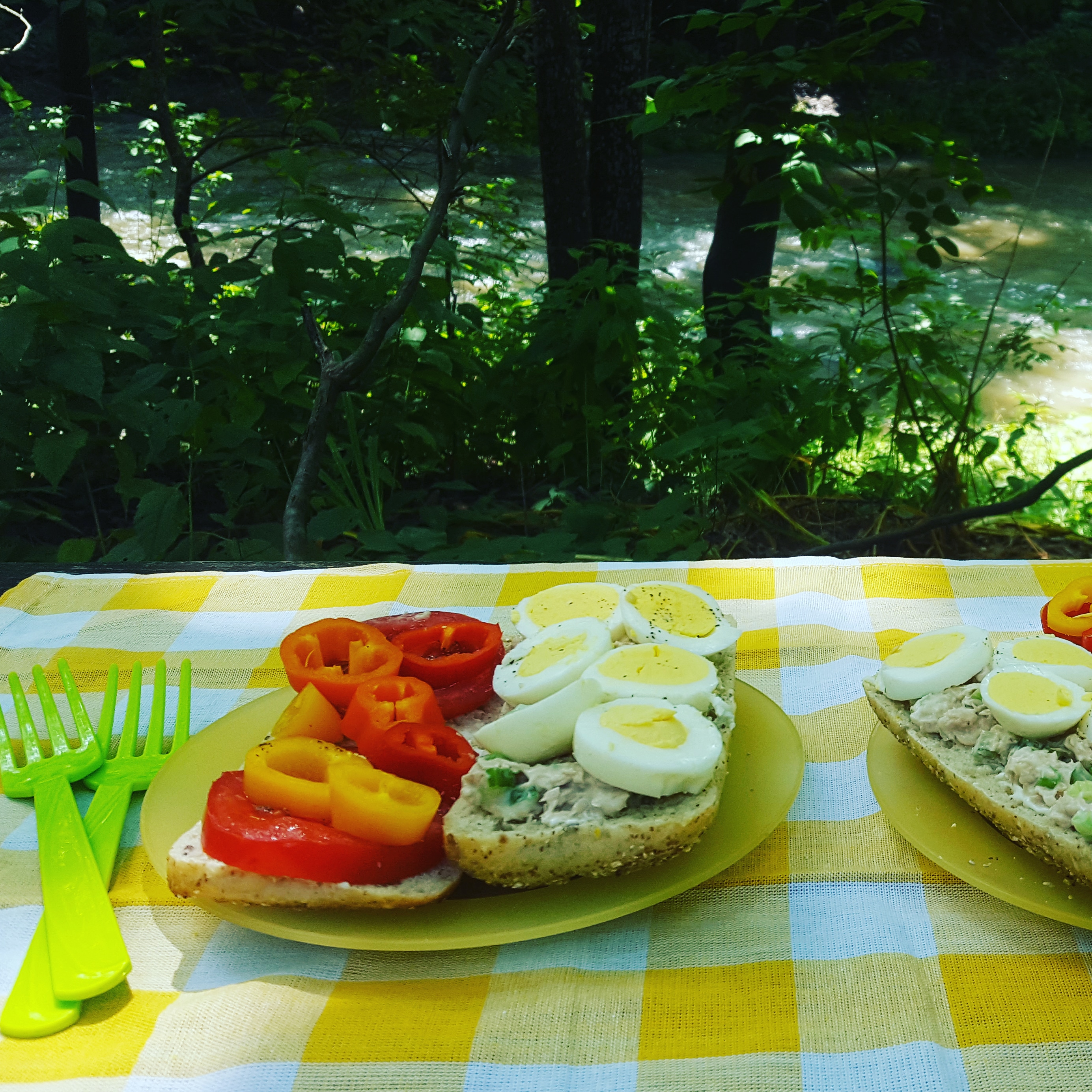 Sandwich thon et crudités - Les Saveurs de Marie